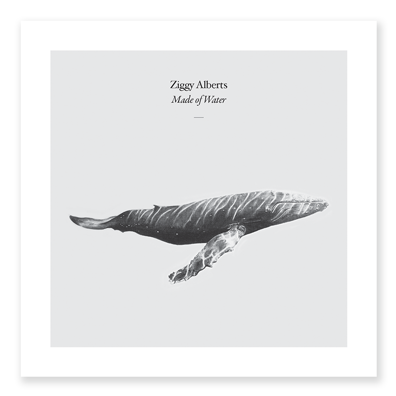 Ziggy Passenger Soundcloud